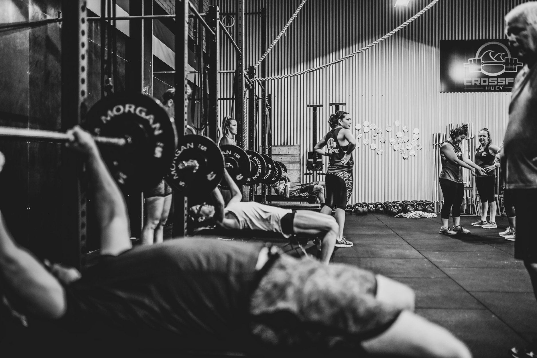 The Ultimate Gym Equipment Guide for all Gym Enthusiasts